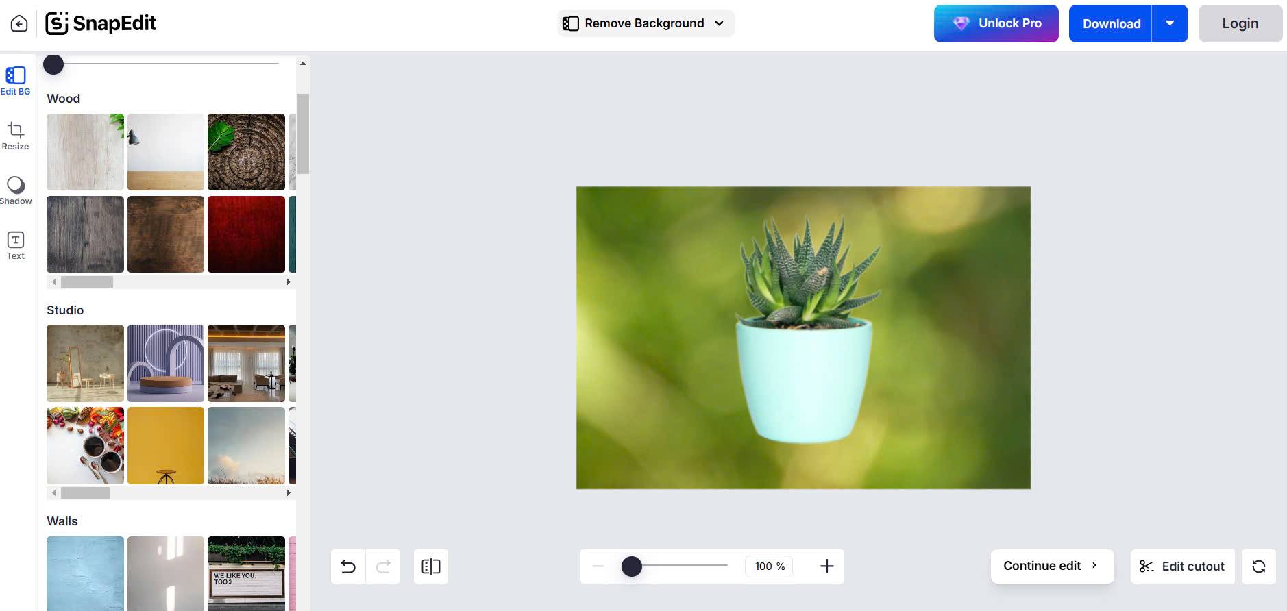 How To Edit Product Photos With SnapEdit Any eCommerce Seller Need To ...