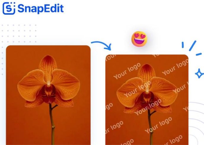 How to add watermark in photos automatically - Blog SnapEdit